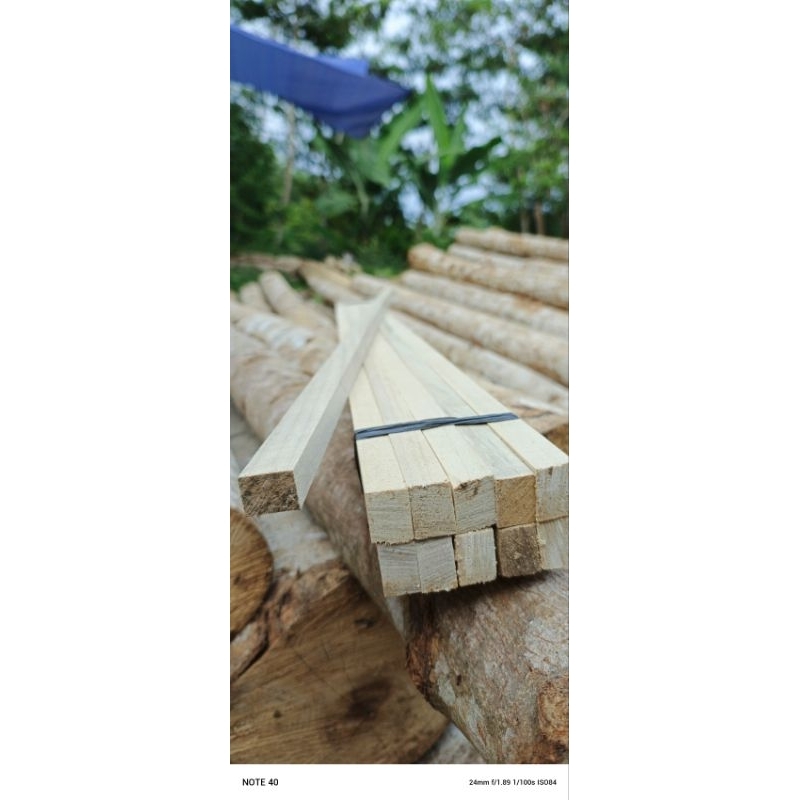 Jual Kayu Reng Sortiran Serut Halus 2x3 CM Paket 10 Batang Panjang ...