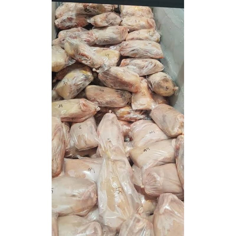 Jual bebek peking frozen 1,5kg | Shopee Indonesia