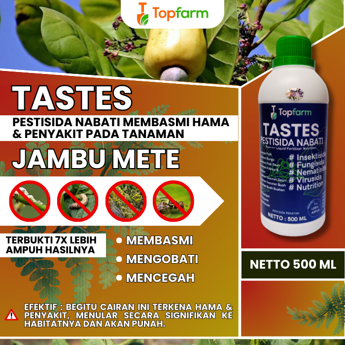 Jual Obat Hama Jambu Mete / Pestisida Pohon Jambu Mete/ Obat Hama Buah ...