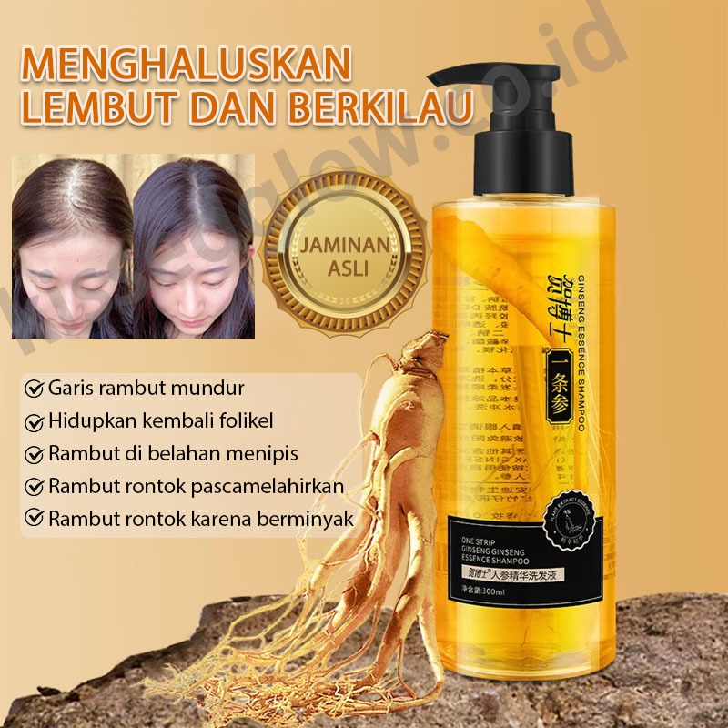 Jual Ginseng Shampo Anti Rontok Dan Anti Ketombe Sampo Anti Ketombe 100% Asli Asli Rambut Kering ...