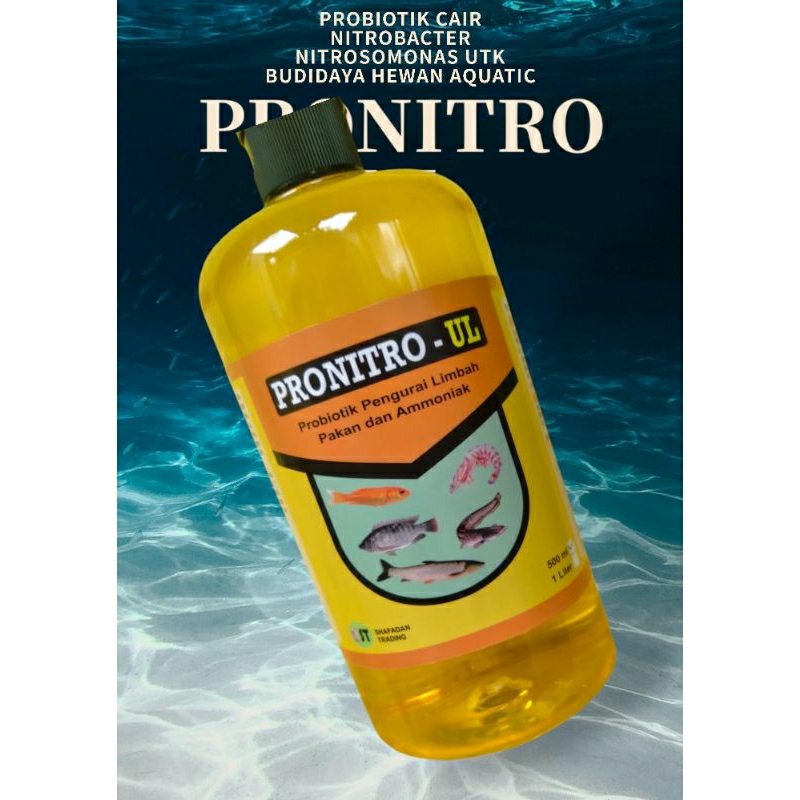 Jual Probiotik Ikan Lele, Nila, Patin, Mas, Bandeng, Udang PRONITRO UL ...