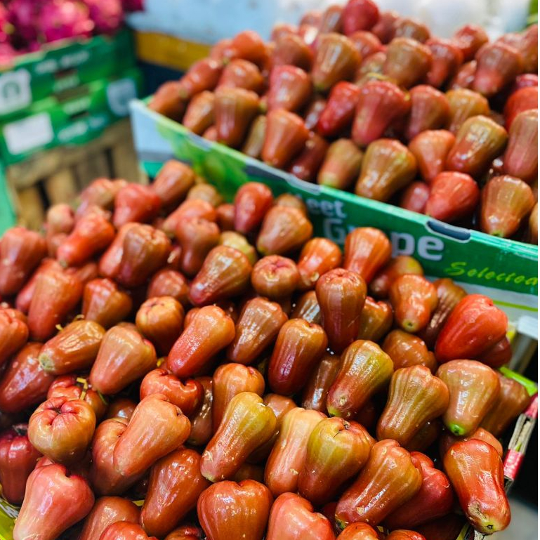 Jual Jambu air citra 1kg | Shopee Indonesia