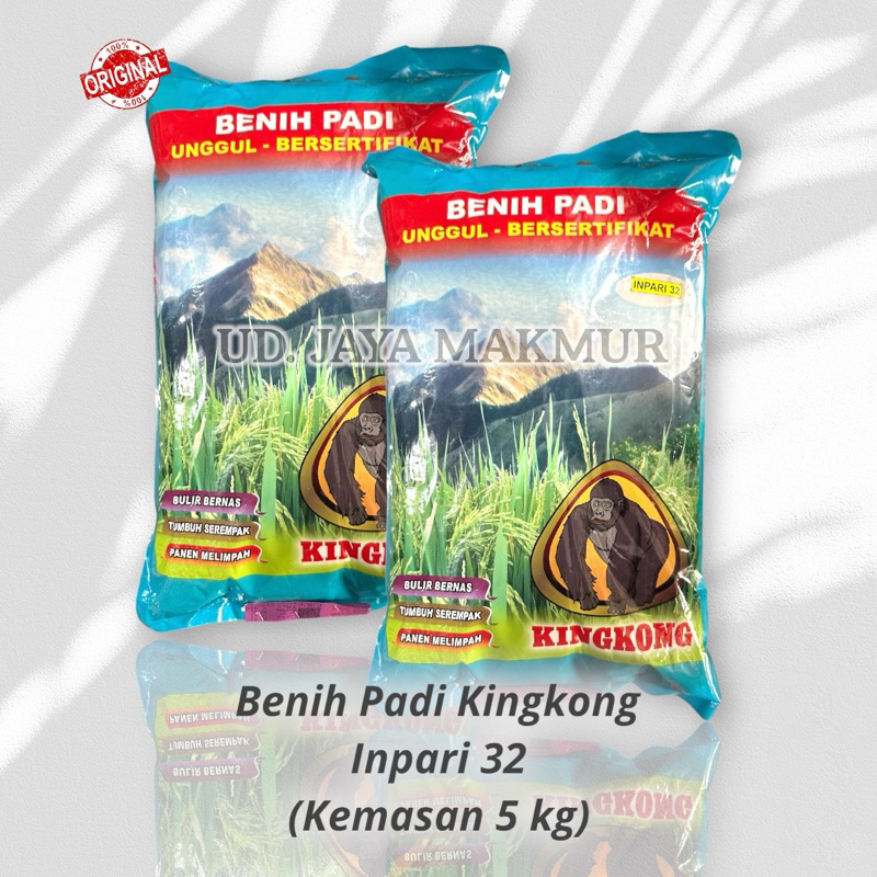 Jual Benih Padi Kingkong Inpari 32 Premium Unggul Jumbo 5kg | Shopee Indonesia
