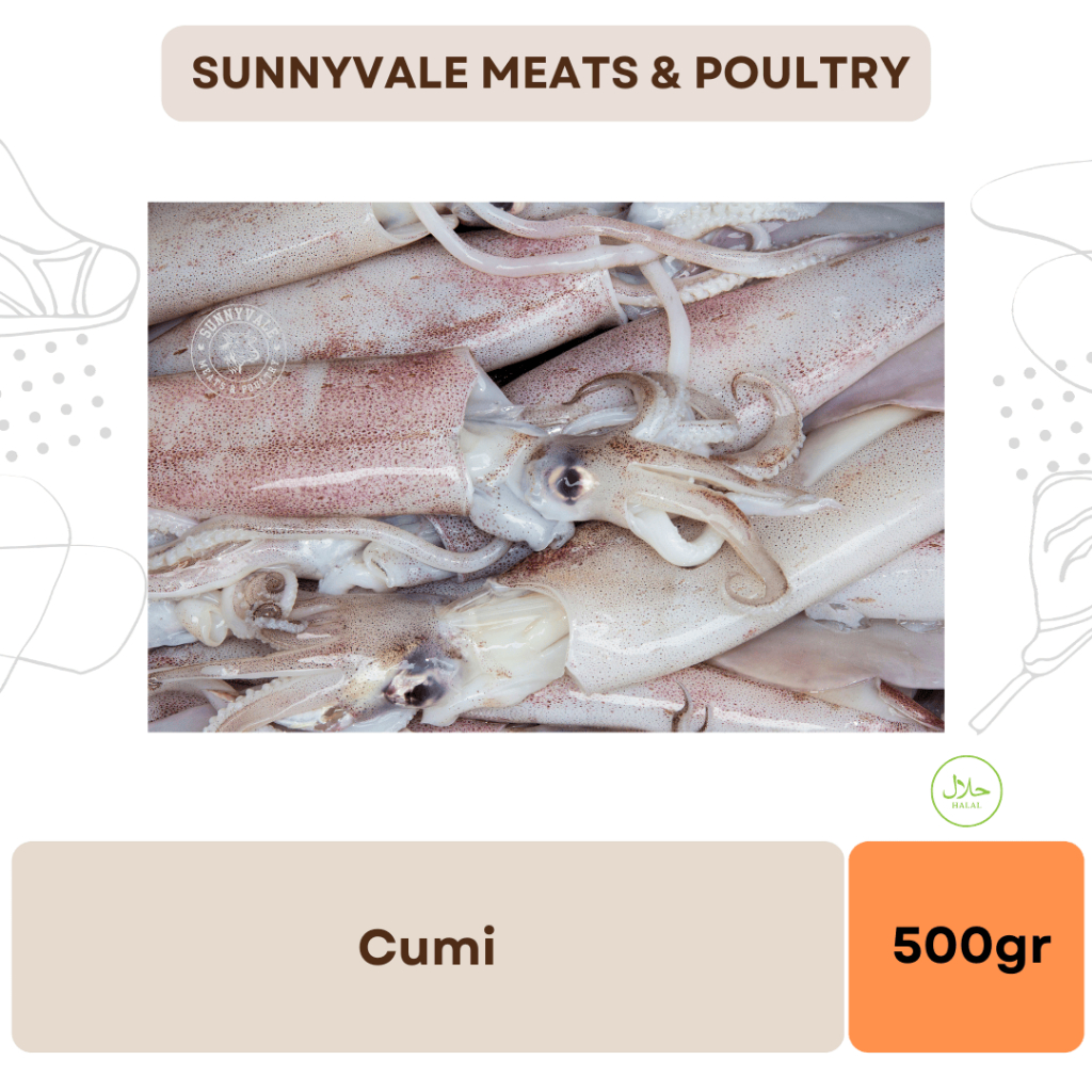Jual Cumi Cumi Segar Lokal - 500 gr | Shopee Indonesia