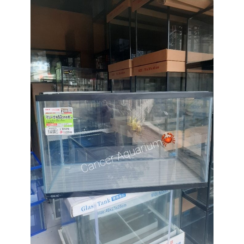 Jual Aquarium GEX Ukuran 60x30x36cm | Shopee Indonesia