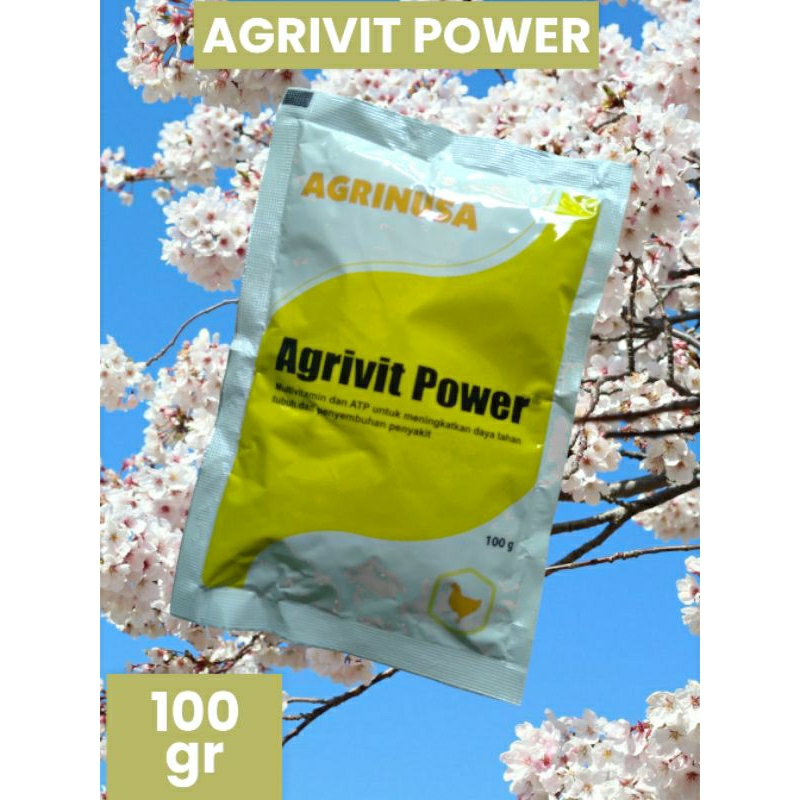 Jual Vitamin Ayam Bangkok Ayam Petarung dengan ATP untuk daya tahan ...