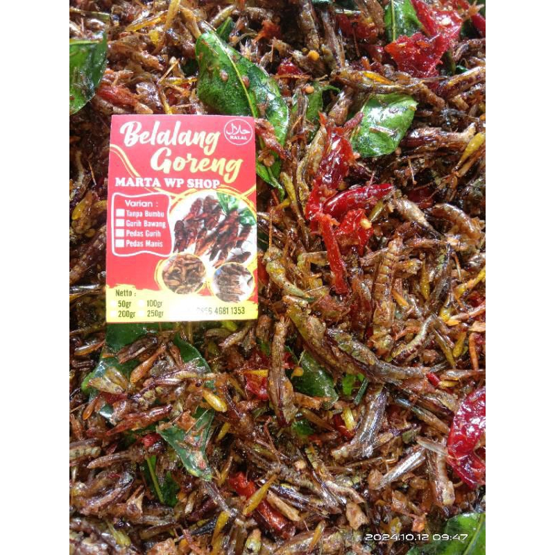 Jual WALANG UTES MURAH ISI 100 GRAM / BELALANG GORENG KECIL / BELALANG ...