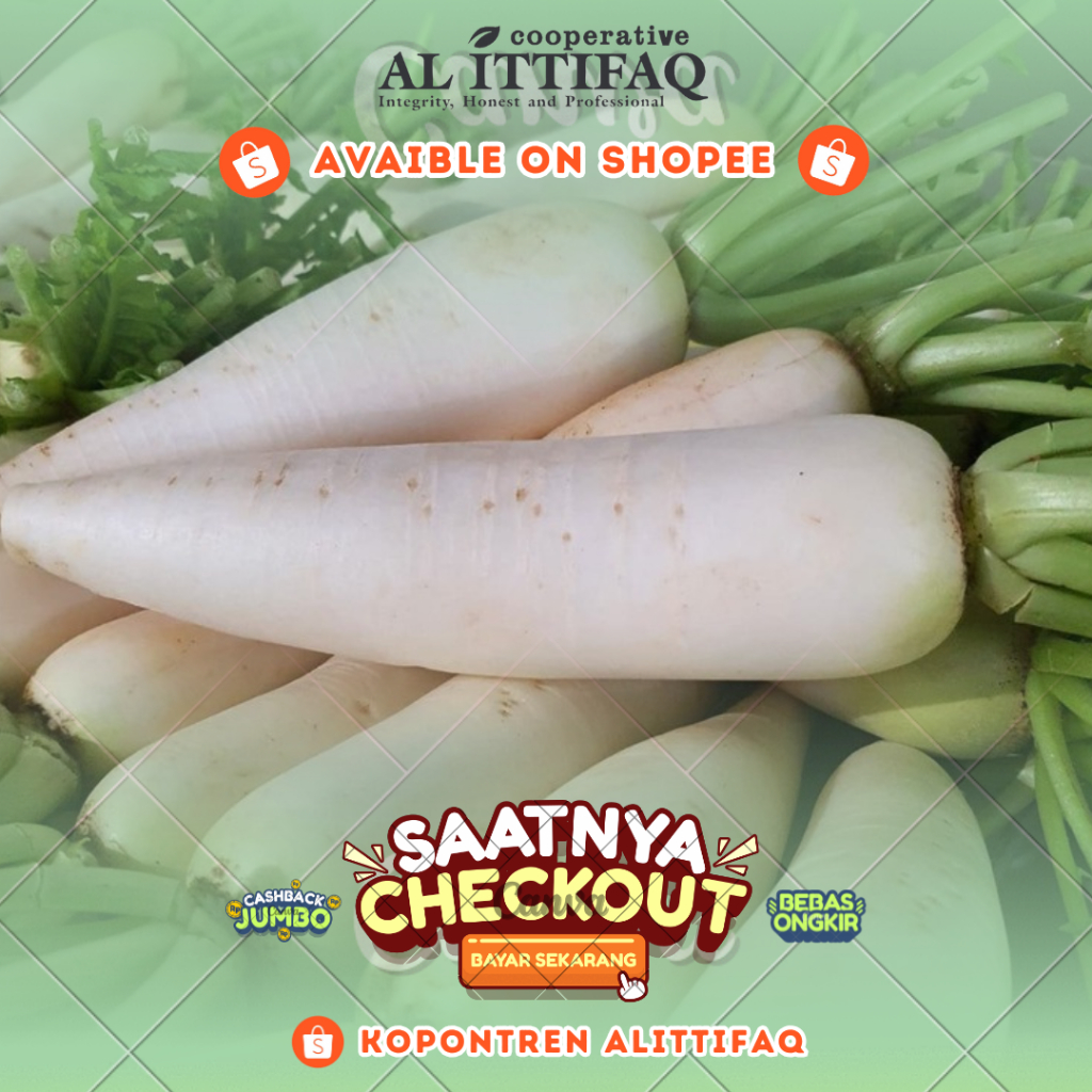 Jual Lobak Sayuran Bahan Makanan Segar 1Kg/500g Termurah Berkualitas ...