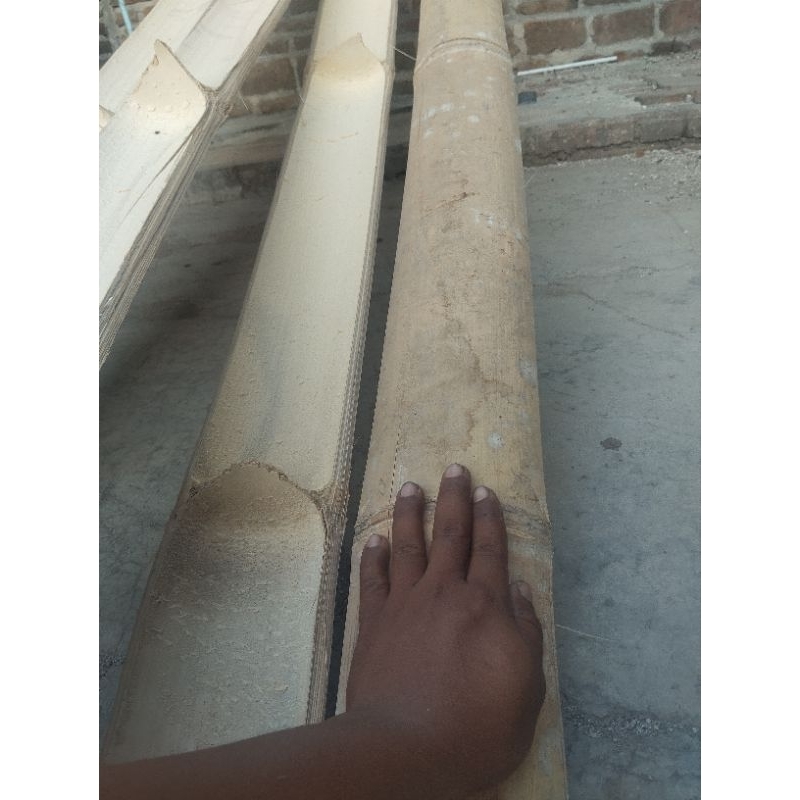 Jual bambu petung super.. 60cm bahan layangan | Shopee Indonesia