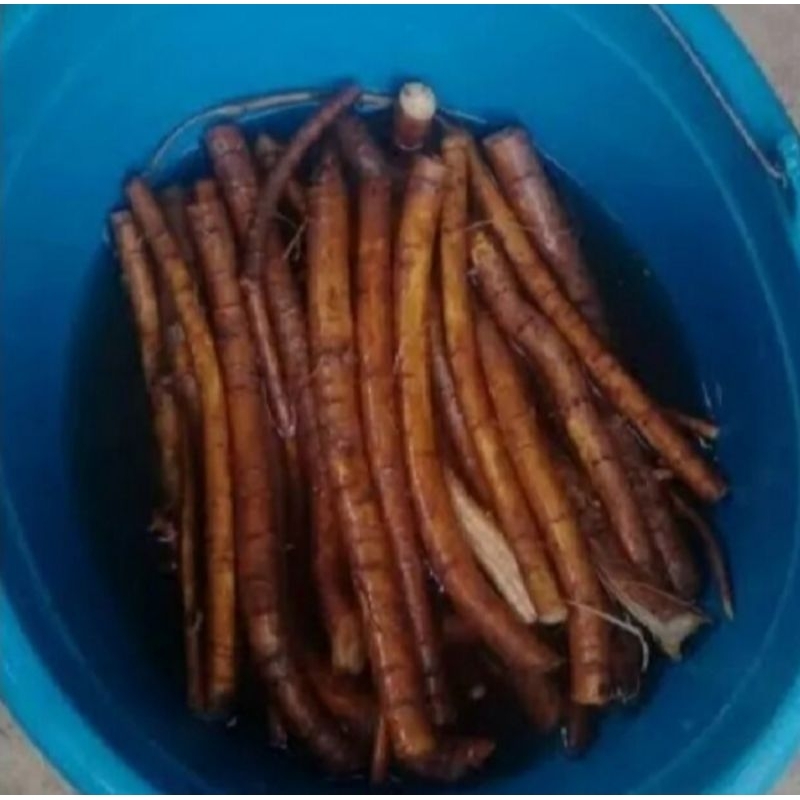 Jual Akar tuba/akar kawao obat tradisional untuk mengobati gatal, kusta ...