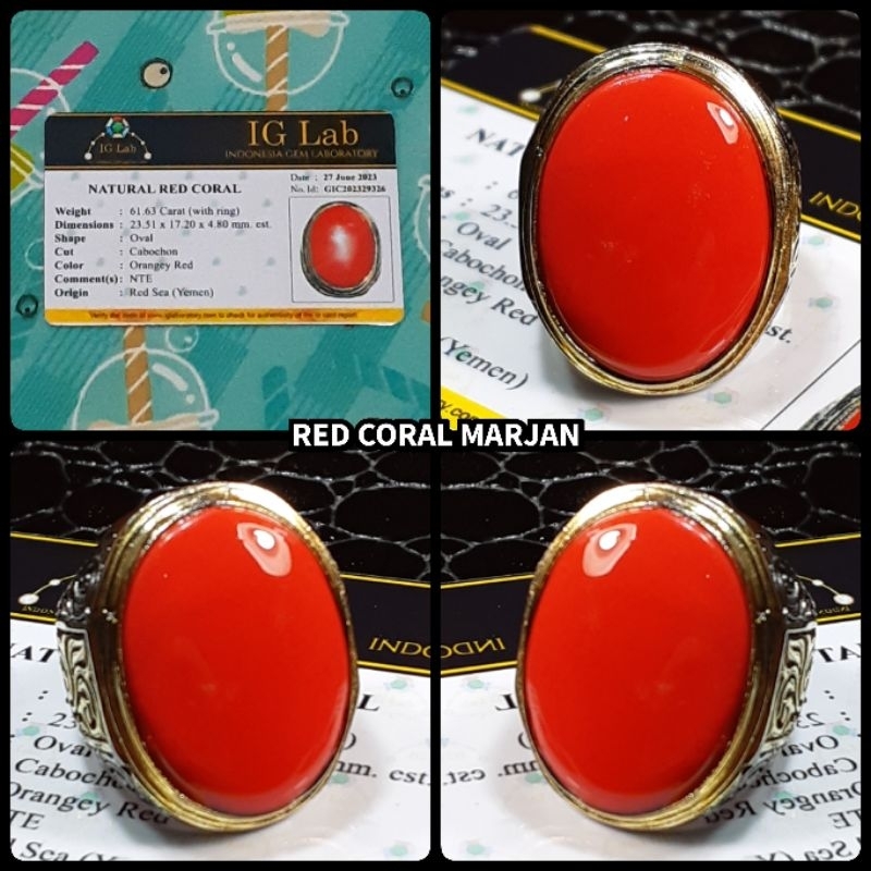 Jual NATURAL BATU RED CORAL ( RED SEA YEMEN MARJAN ) | Shopee Indonesia