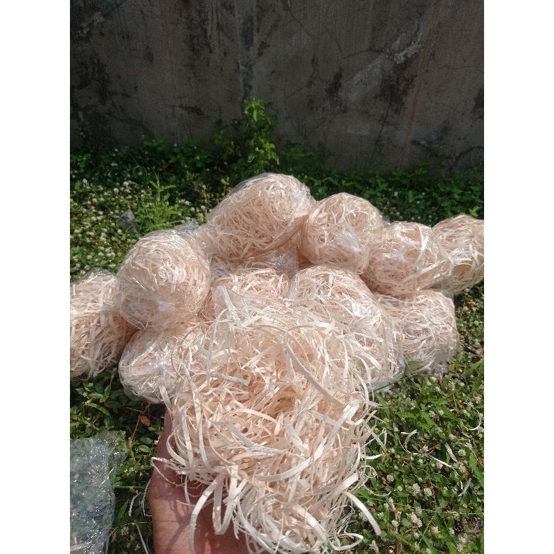 Jual susuh sarang burung lovebird alas glodok | Shopee Indonesia