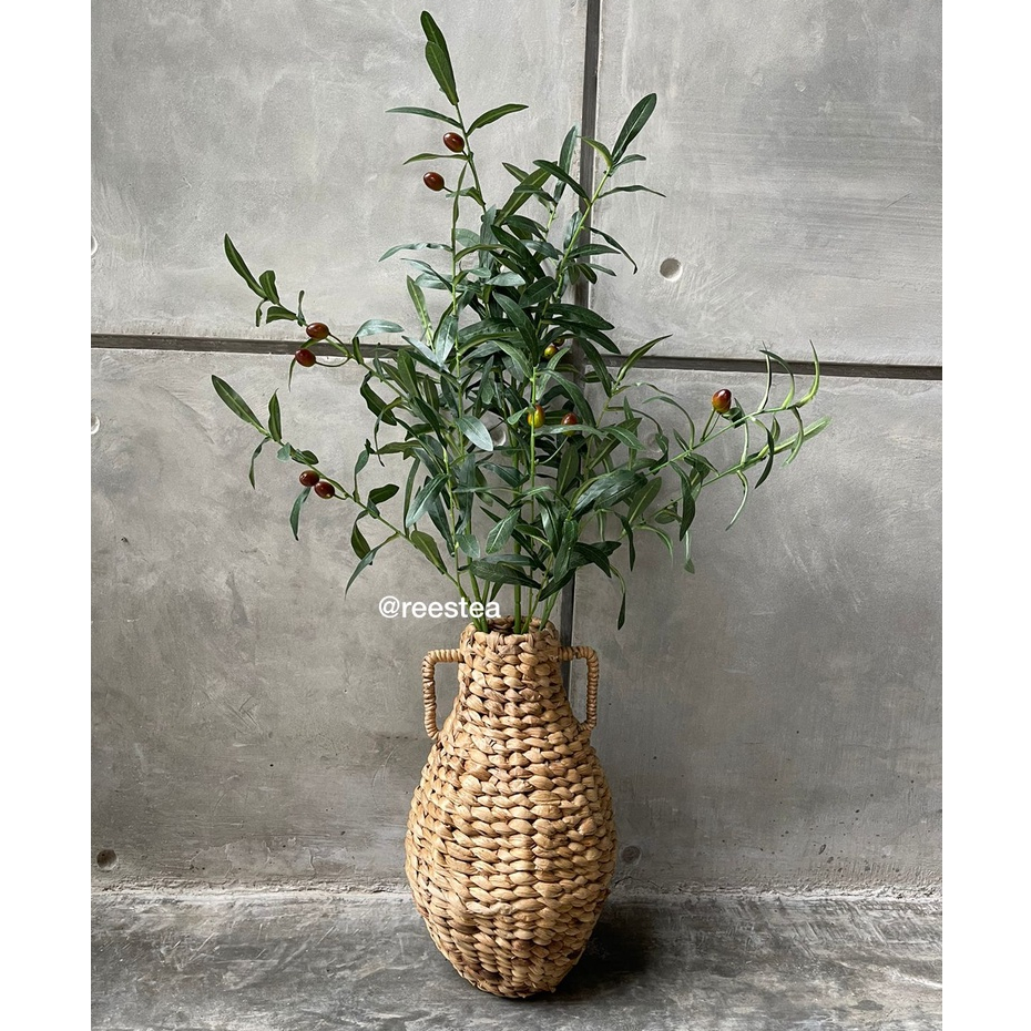Jual Olive tangkai + Pot anyam enceng gondok rangka besi/ Kerajang ...