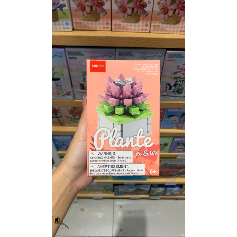Jual Miniso Flower Language Series Succulent Plants Building Blocks ...