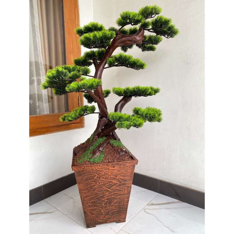 Jual pohon bonsai cemara artificial tanaman hias cemara udang elegan ...
