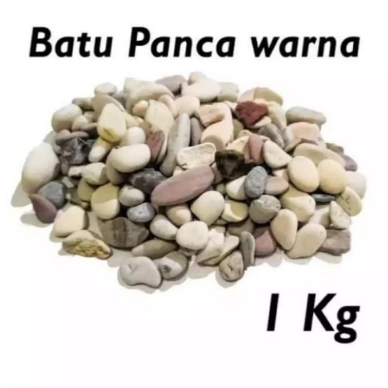 Jual Batu Koral Pancawarna Buat Taman/Aquarium | Shopee Indonesia