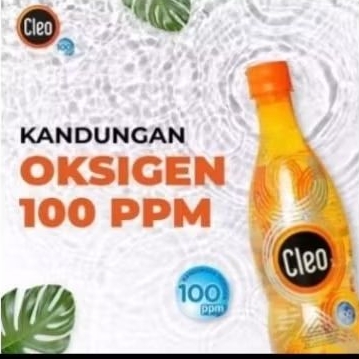 Jual Air Oksigen Cleo 100 PPM 1 Botol 500 ML | Shopee Indonesia