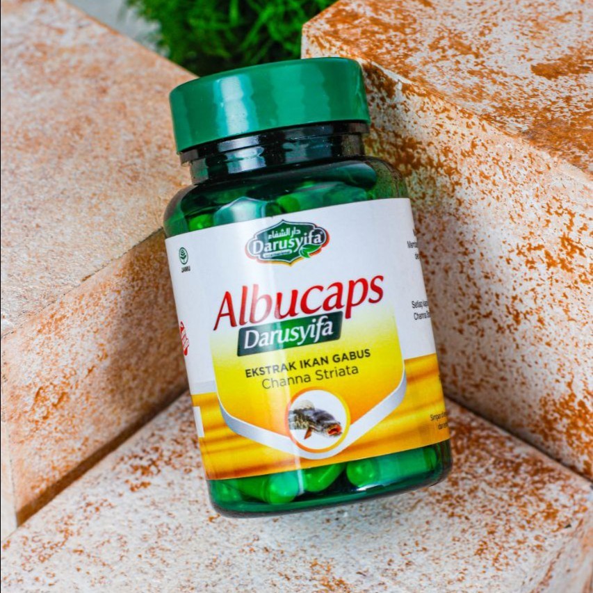 Jual Kapsul Kutuk Ikan Gabus Albucaps Darusyifa Asli Ekstrak Albumin | Shopee Indonesia