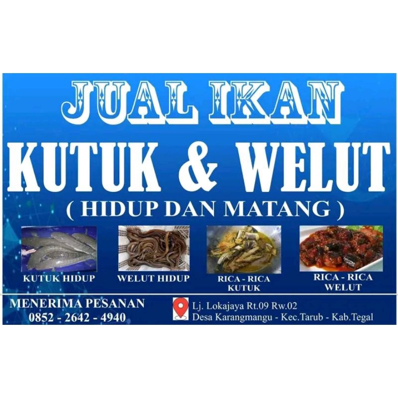 Jual WELUT ( BELUT SAWAH ) , SIAP GORENG | Shopee Indonesia