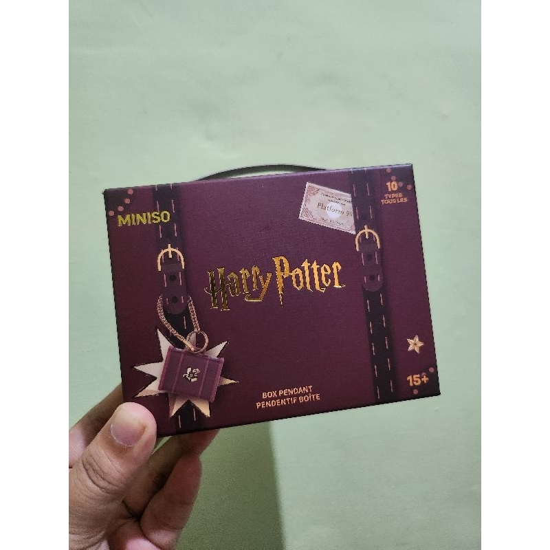 Jual (Ready Stock) Miniso x Harry Potter Suitcase Box - Selected ...