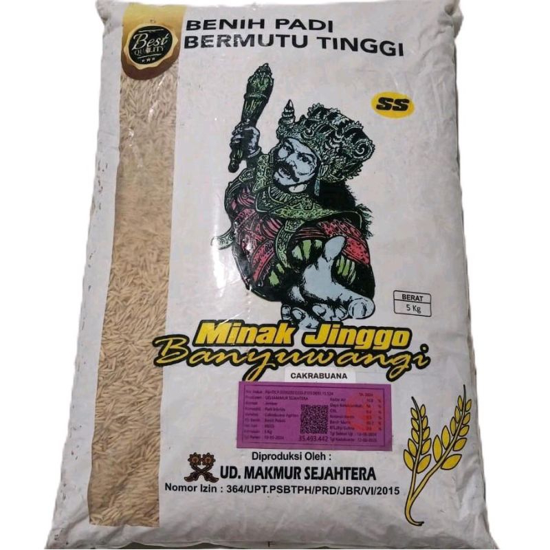 Jual BENIH PADI BERMUTU TINGGI SS MINAK JINGGO BANYUWANGI CAKRABUANA 5 ...