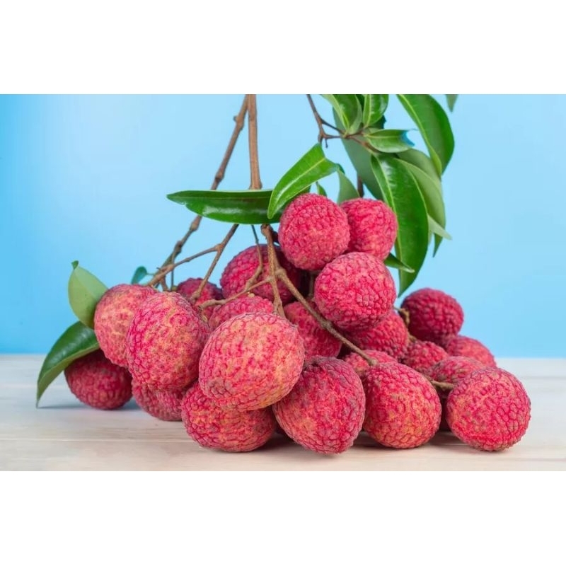 Jual minuman juice buah/sirup rasa KTI 1,5liter kualitas dijamin ...