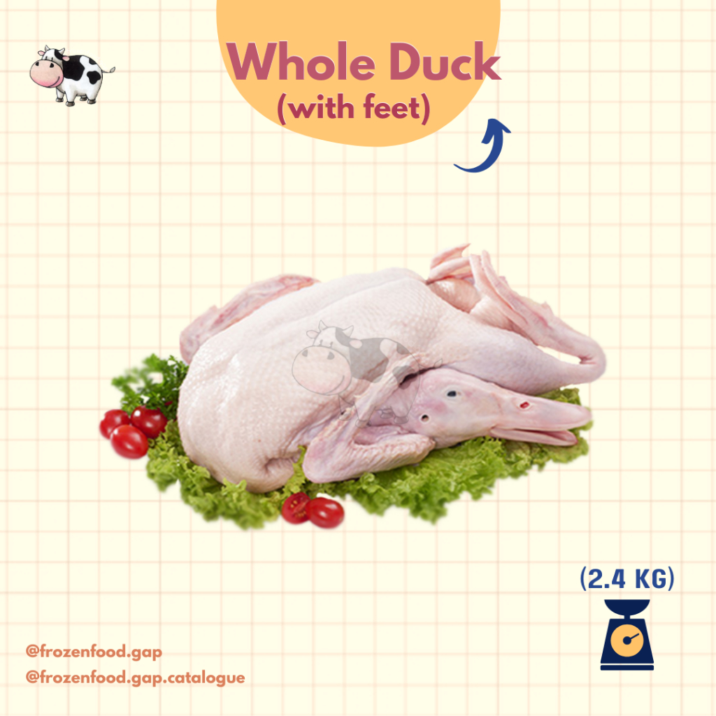 Jual WHOLE DUCK 2.4KG | BEBEK UTUH | FROZEN DUCK | FROZEN MEAT | DAGING ...