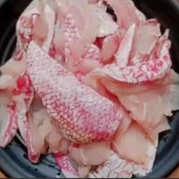 Jual tetelan ikan kakap fresh full daging barang langka frozen 500gr ...