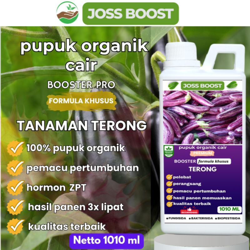 Jual Pupuk Organik Cair Booster TERONG, POC JOSSBOOST Terong, poc kompos organik Melebatkan ...