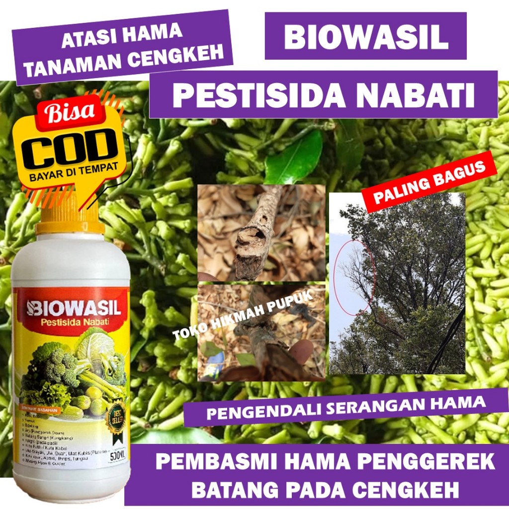Jual PESTISIDA PEMBASMI HAMA CENGKEH Paling Ampuh - Insektisida ...