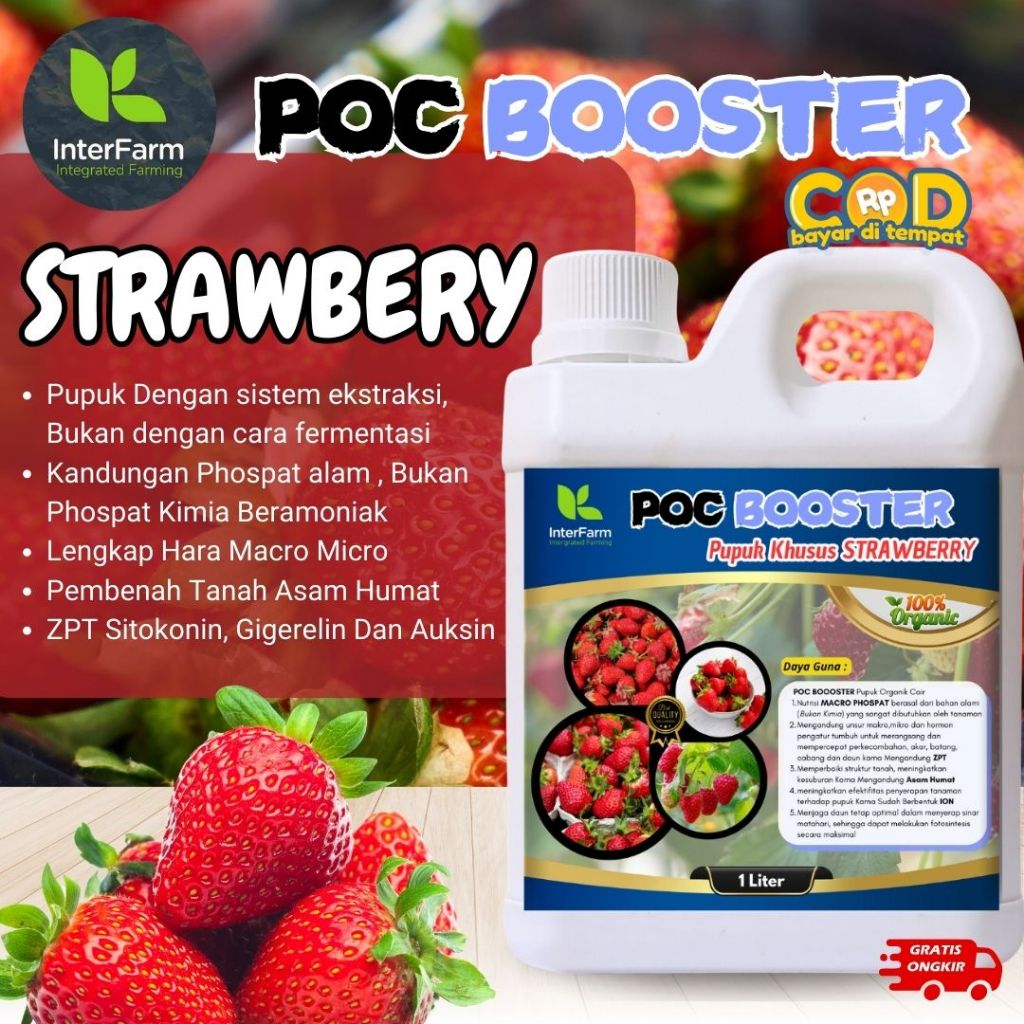 Jual Pupuk pelebat buah strawberry , Pupuk untuk tanaman strawberry, Pupuk cair organik ...