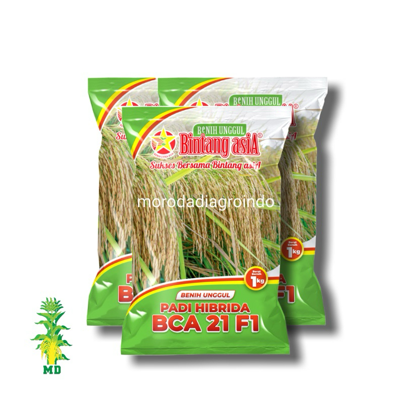 Jual Benih Padi Hibrida BCA 21 F1 Kemasan 1kg dari BCA (benih citra ...