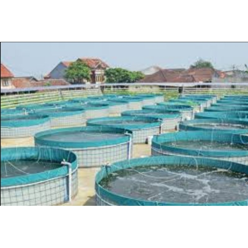 Jual Paket Bioflok Cair Dolomit, Molase, Em4 Perikanan dan Garem Krosok ...