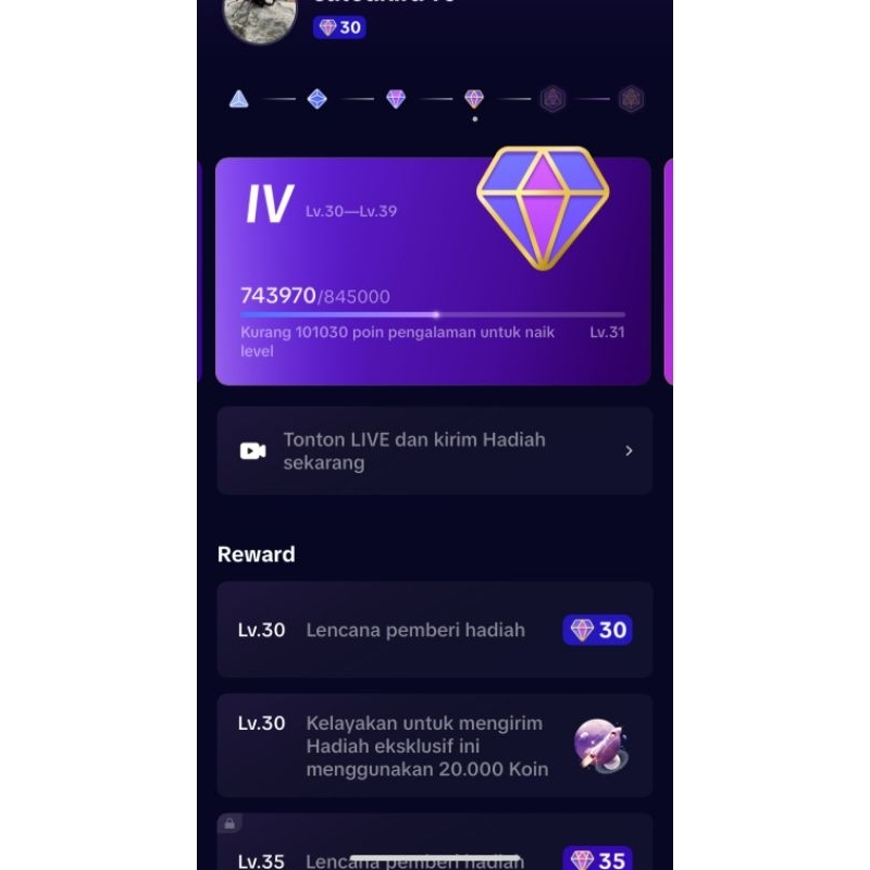 Jual akun tiktok level 30 indo | Shopee Indonesia