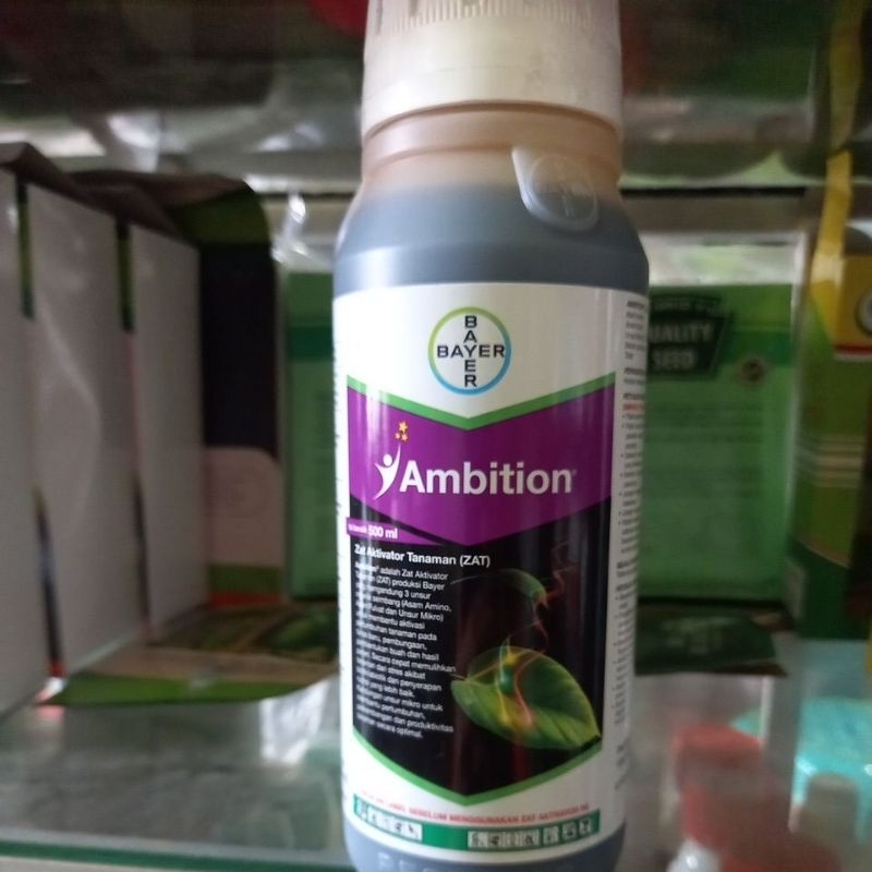 Jual Ambition 500 ml | Shopee Indonesia