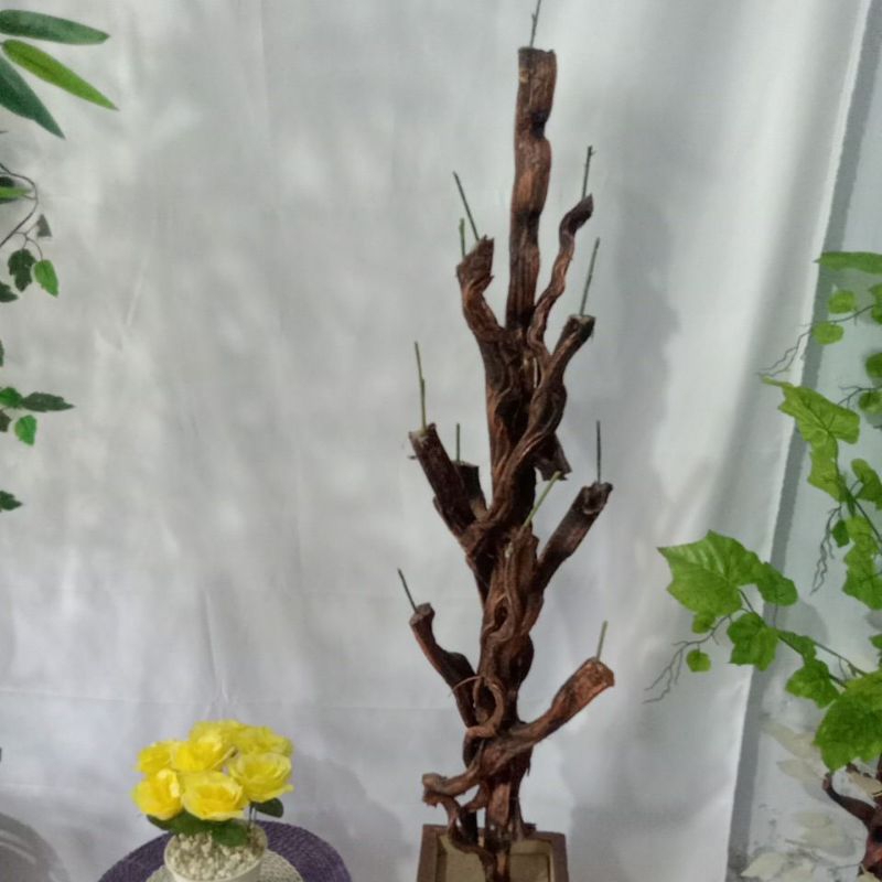 Jual kayu akar Trinil/kayu saja tanpa pot/sudah jadi tinggal isi bunga ...