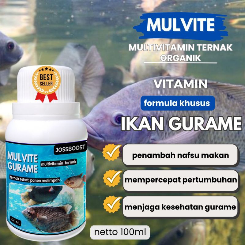 Jual MULVITE multivitamin ternak IKAN GURAME Vitamin Ikan gurame, vitamin probiotik ikan gurame ...