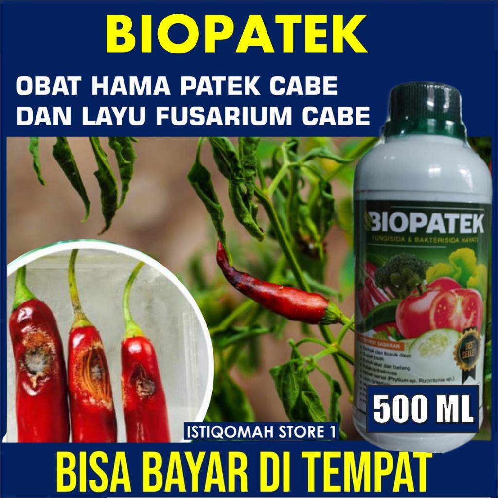 Jual BIOPATEK Fungisida Hayati Atasi Cabe Rawit Busuk Kering, Obat Patek Cabe Rawit, Obat Layu ...