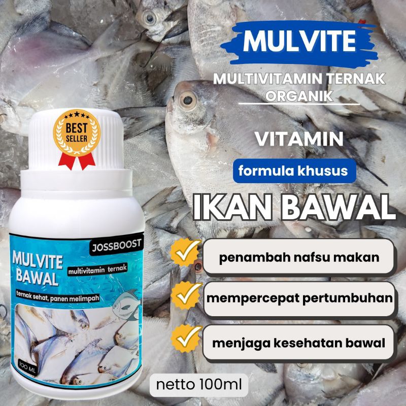 Jual MULVITE IKAN Bawal, VITAMIN Ikan Bawal Agar Cepat Besar 100 Ml Probiotik Pemacu Pertumbuhan ...