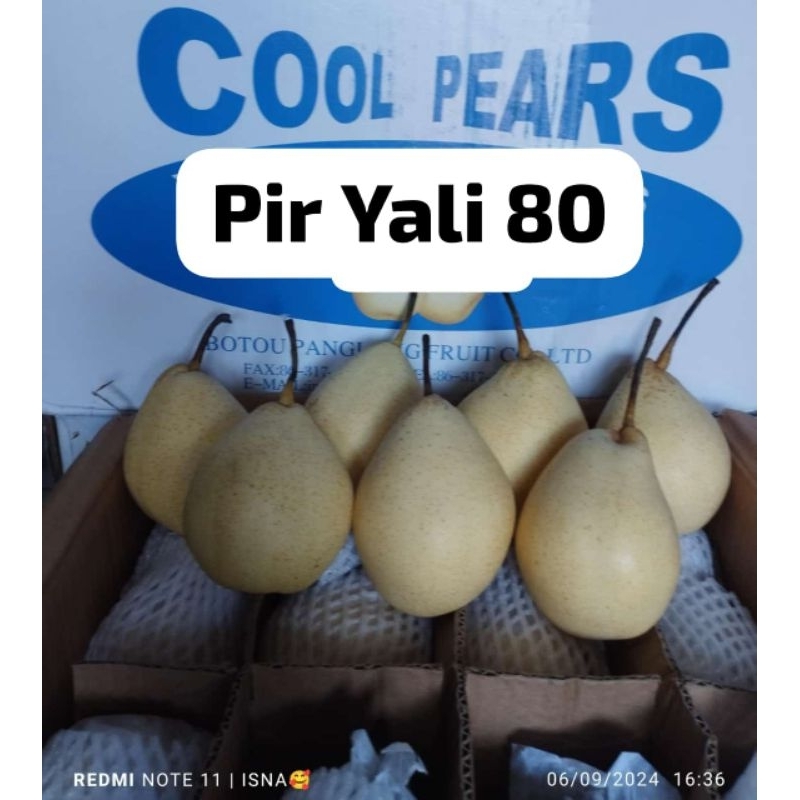 Jual BUAH PEAR YALI FRESH MANIS 1KG | Shopee Indonesia