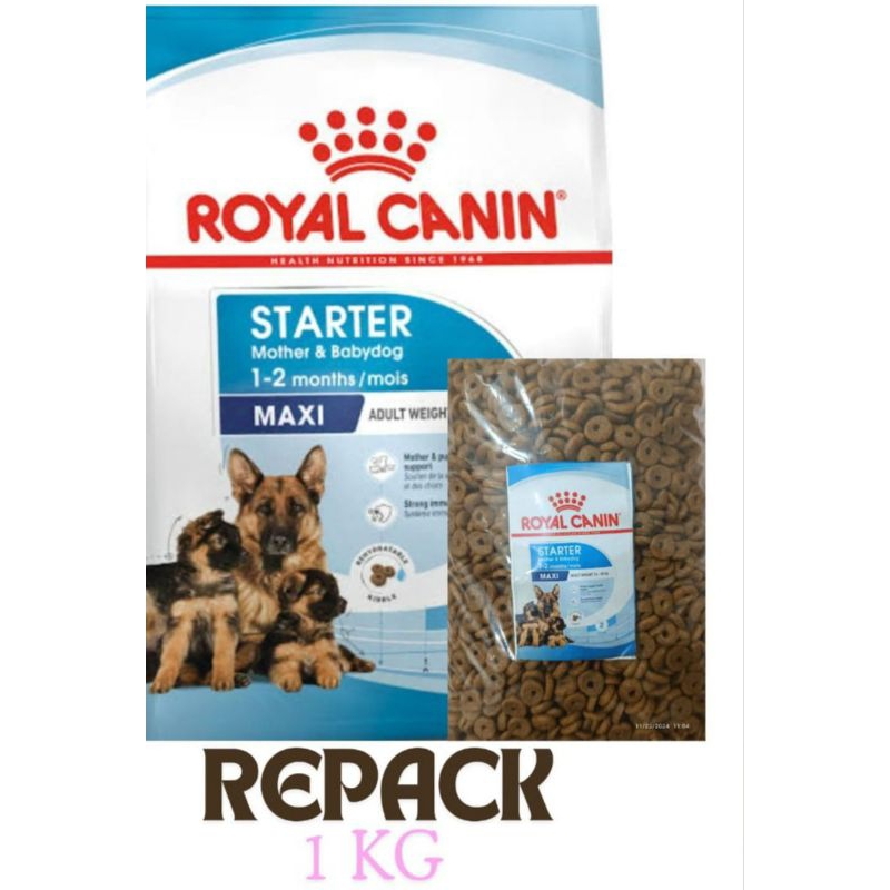Jual Royal Canin Maxi Starter repack 1 kg | Shopee Indonesia
