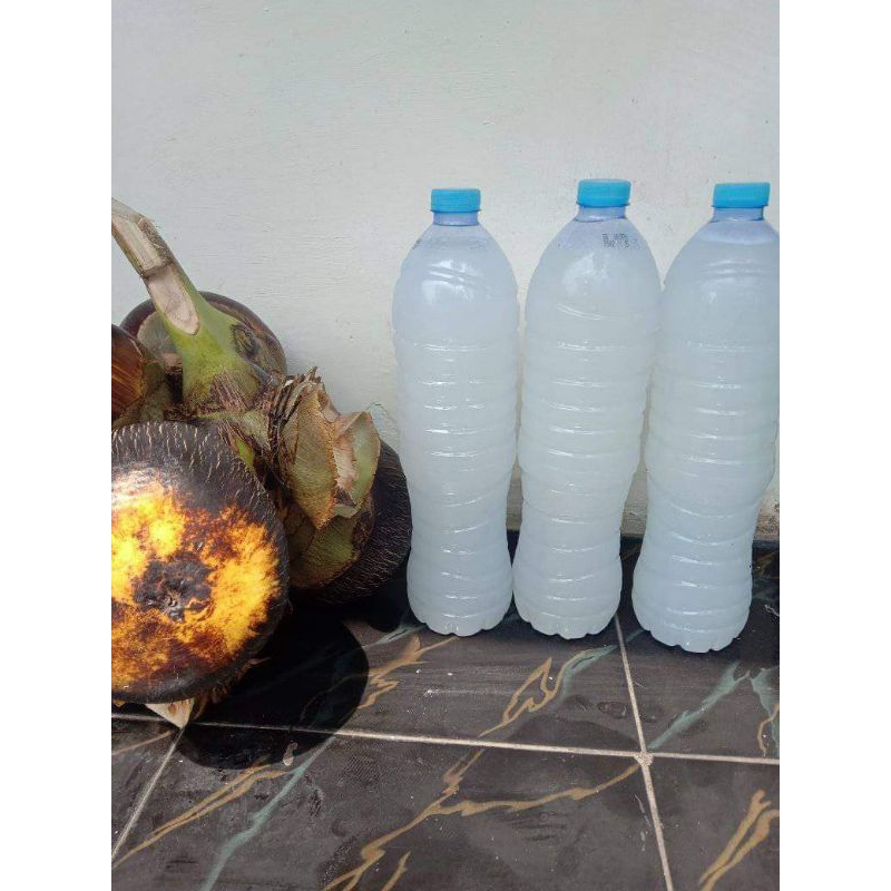 Jual Minuman Air Buah Lontar - Legen Asli 100% - Minuman Tradisional ...