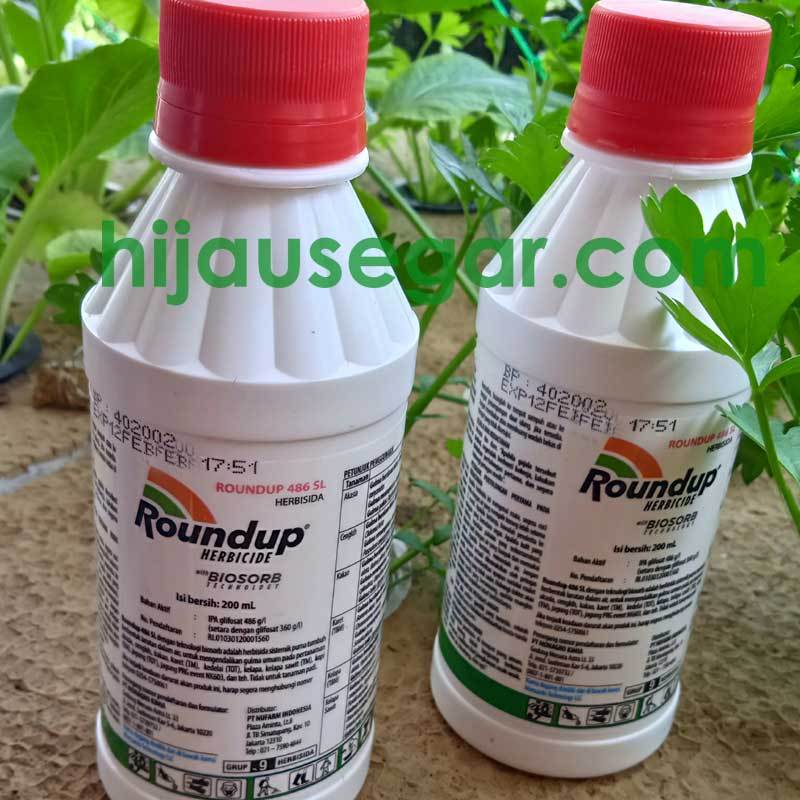 Jual [Anti Rumput] HERBISIDA ROUNDUP 200 ML RONDAP ORIGINAL | Shopee ...
