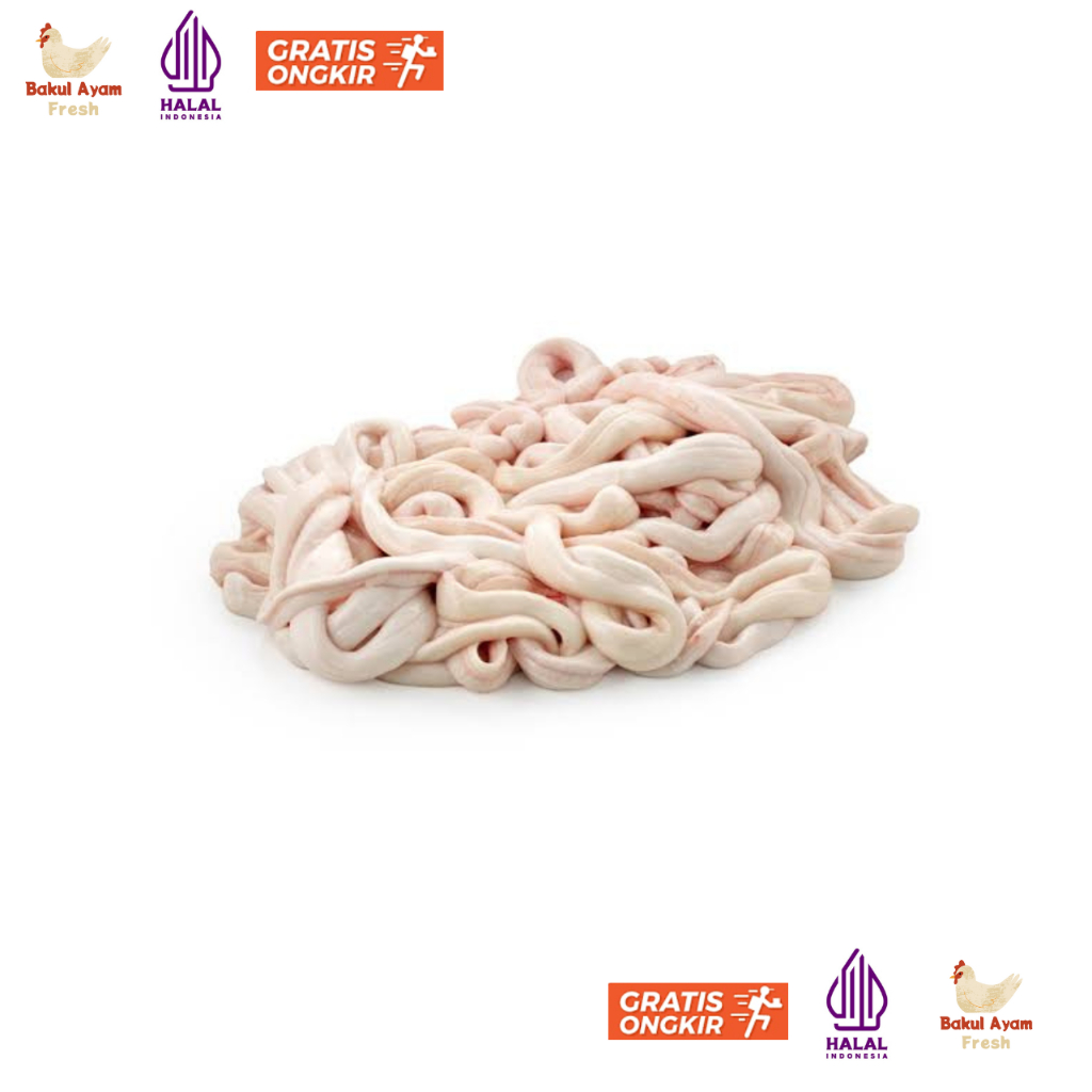 Jual Usus Ayam Segar / Usus Ayam Fresh 500 gram (Ayam Segar) | Shopee ...