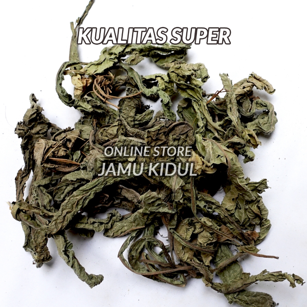 Jual Daun Tapak Liman Kering 1kg Organik & Asli | Shopee Indonesia