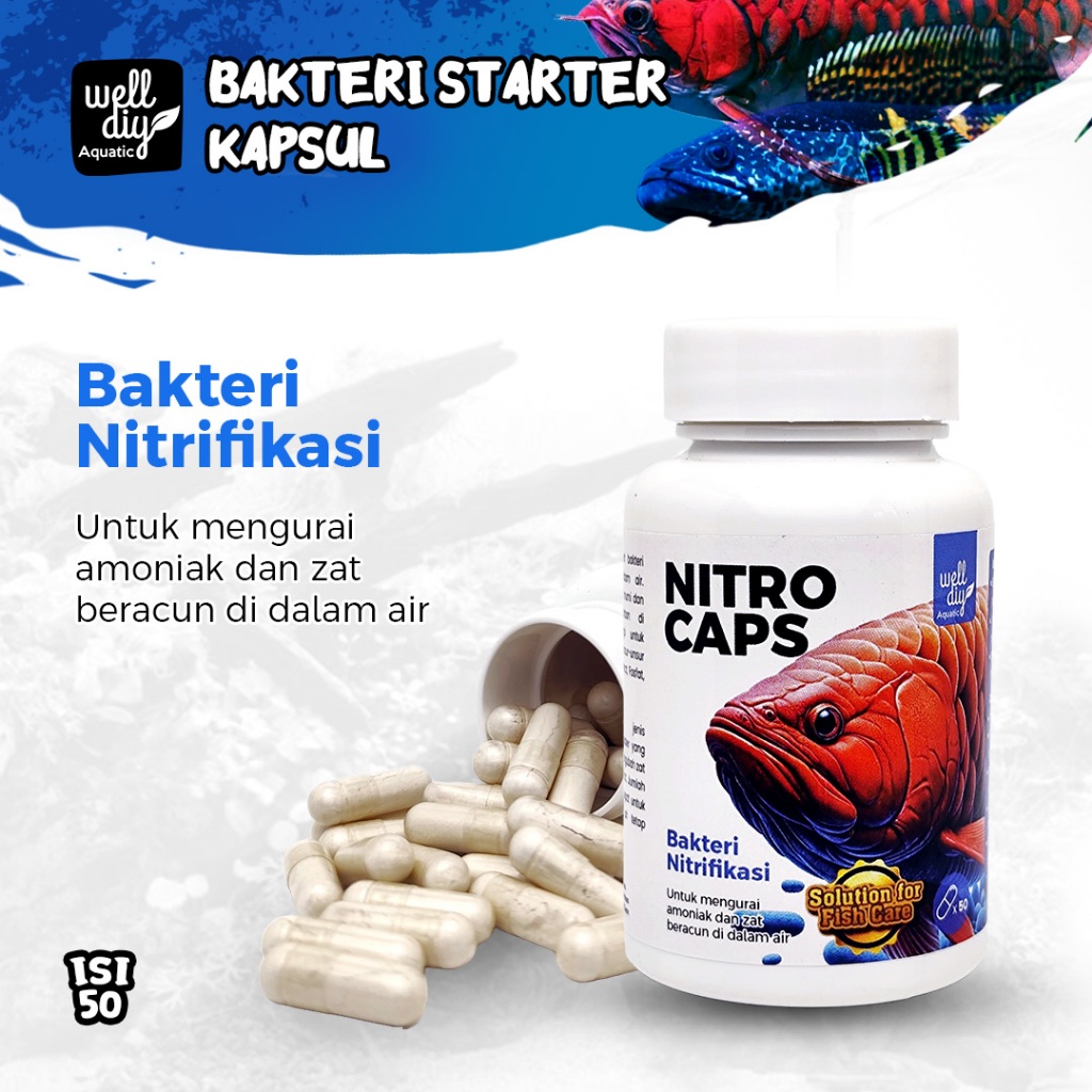 Jual Bakteri Starter Aquarium Aquascape Kolam Nitrifikasi Kapsul NITRO ...