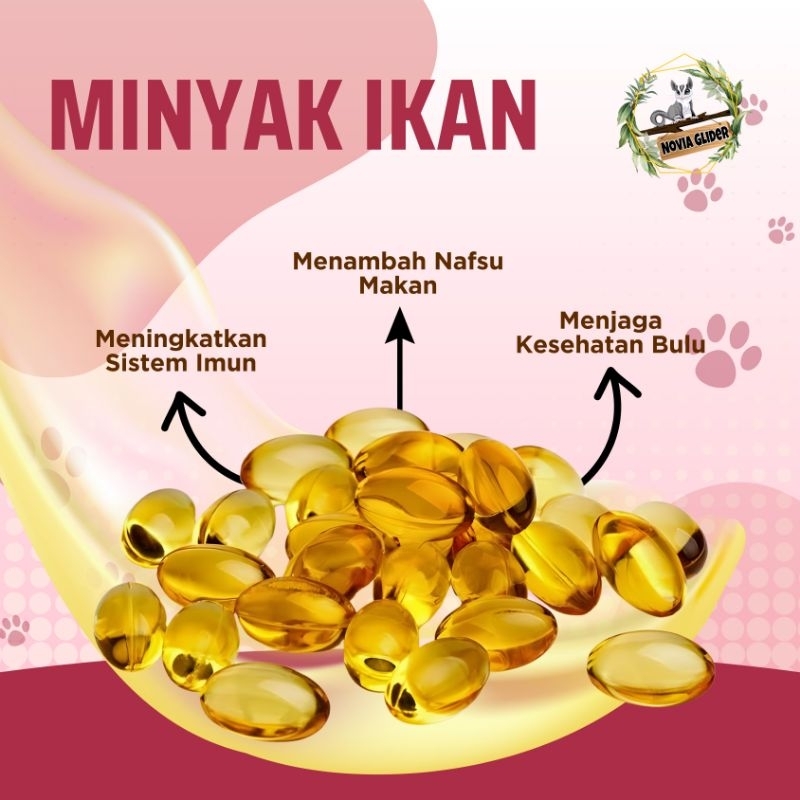 Jual Minyak ikan hewan 25butir | Shopee Indonesia