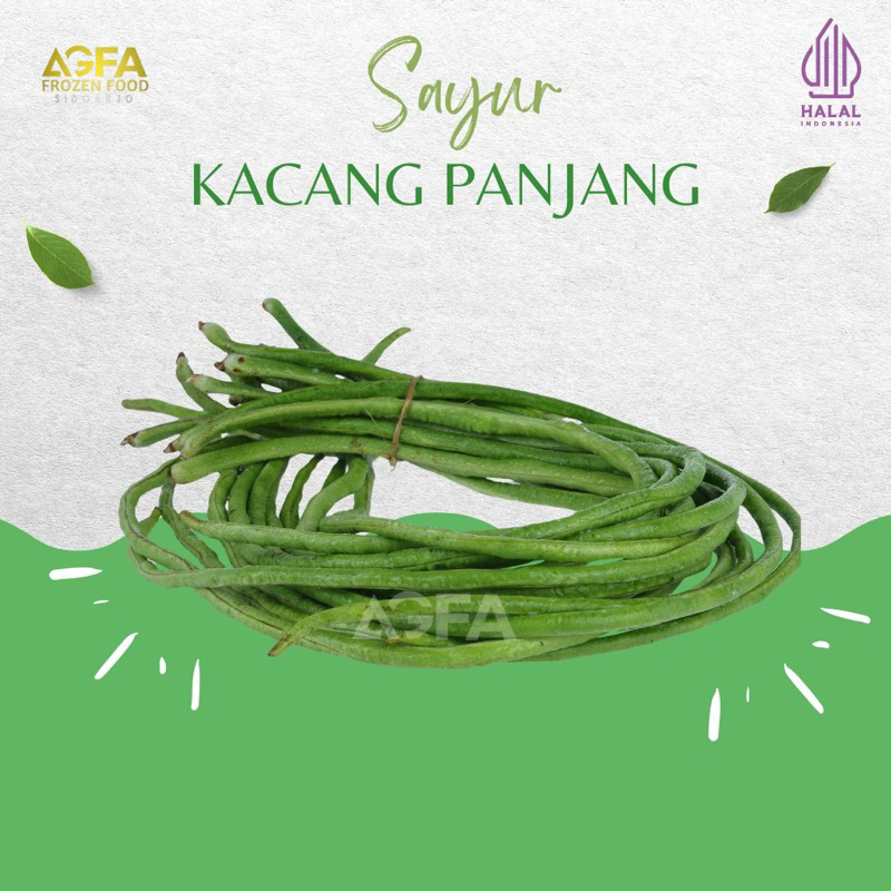 Jual Harga Kacang Panjang 1 Kg Terlengkap & Harga Terbaru Juni 2026 ...