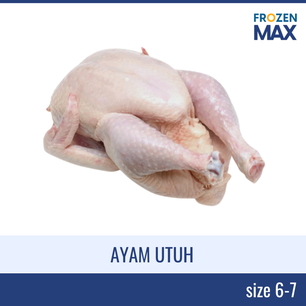 Jual Ayam Broiler Kecil Utuh | Ayam Muda | Ayam Penyet | Ayam Broiler ...