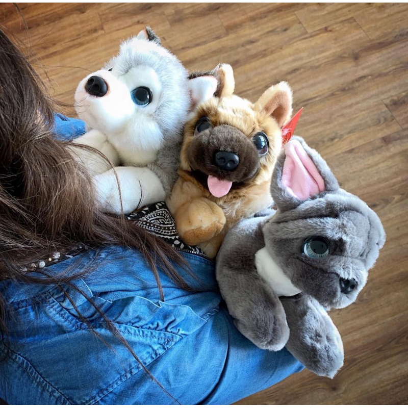 Jual Boneka Anjing Poodle Dog Puppy Husky Buldog Dalmantian Keel Toys ...